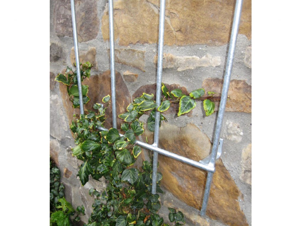 Treillis mural pour plantes grimpantes - melabel® clôtures